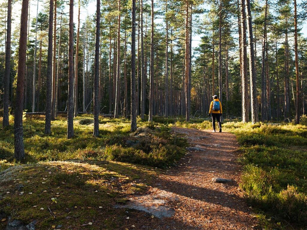 Ennusteet – Euro ja talous